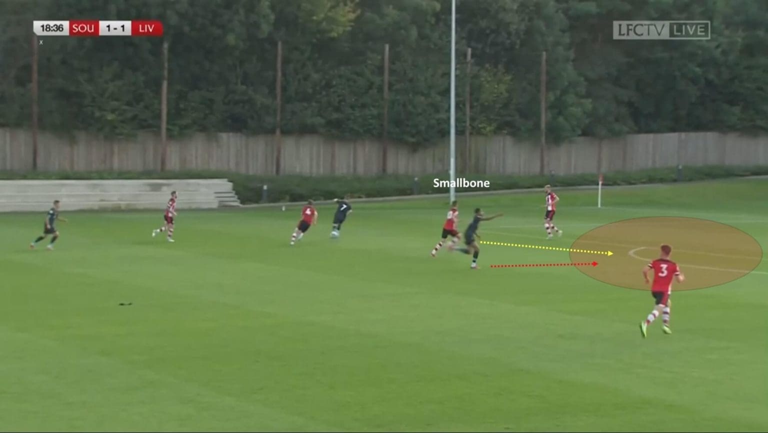 Will Smallbone: Southampton's Young Player of the Season